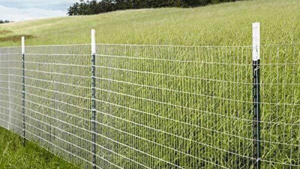 Pertanian Modern: Penggunaan Wire Mesh | Pratama Tunggal Mandiri